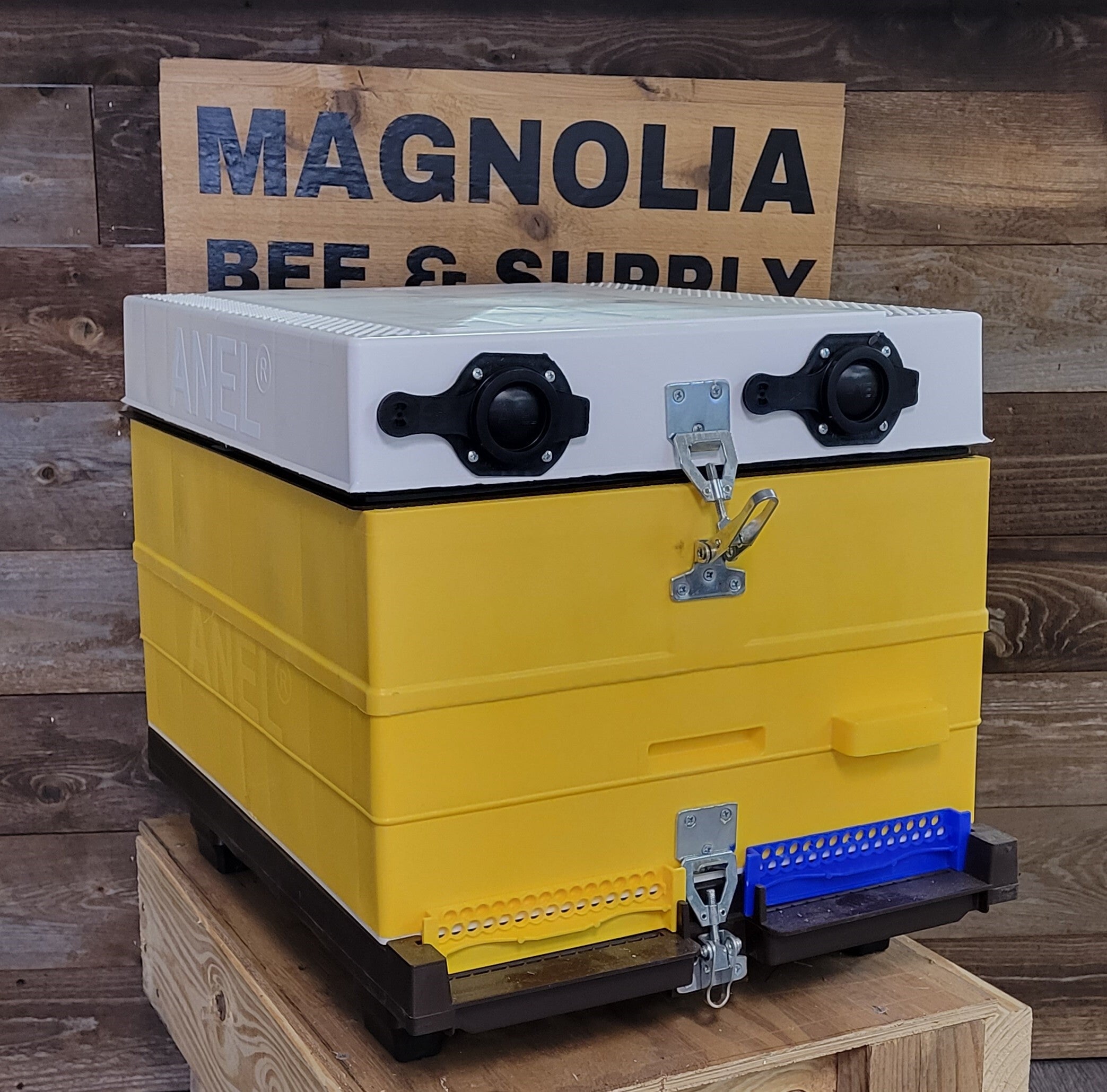 Anel Hives | Magnolia Bee & Supply